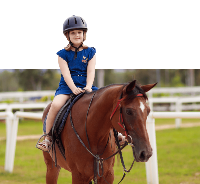 Equine Sessions - DCCH Center for Children and Families