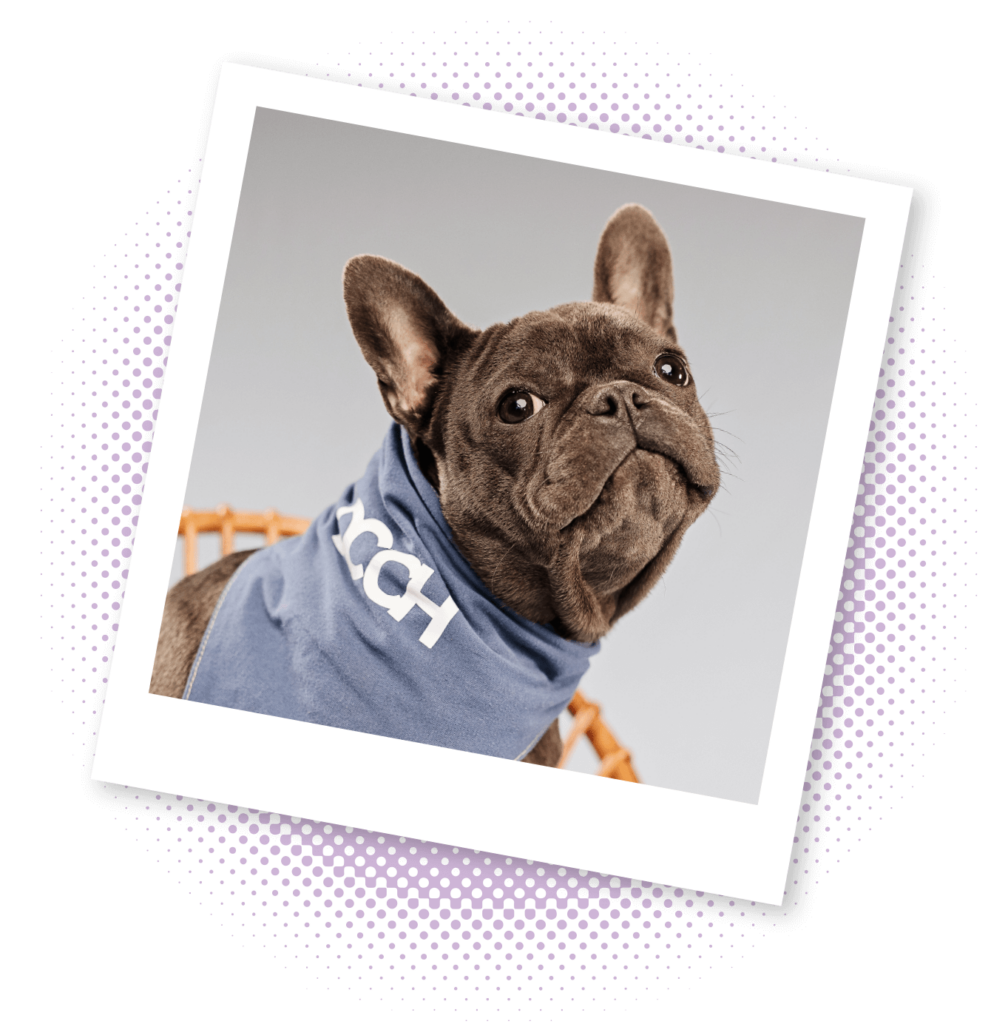 Meet Buddy, the New Therapy Dog for DCCH - DCCH Center for Children and ...